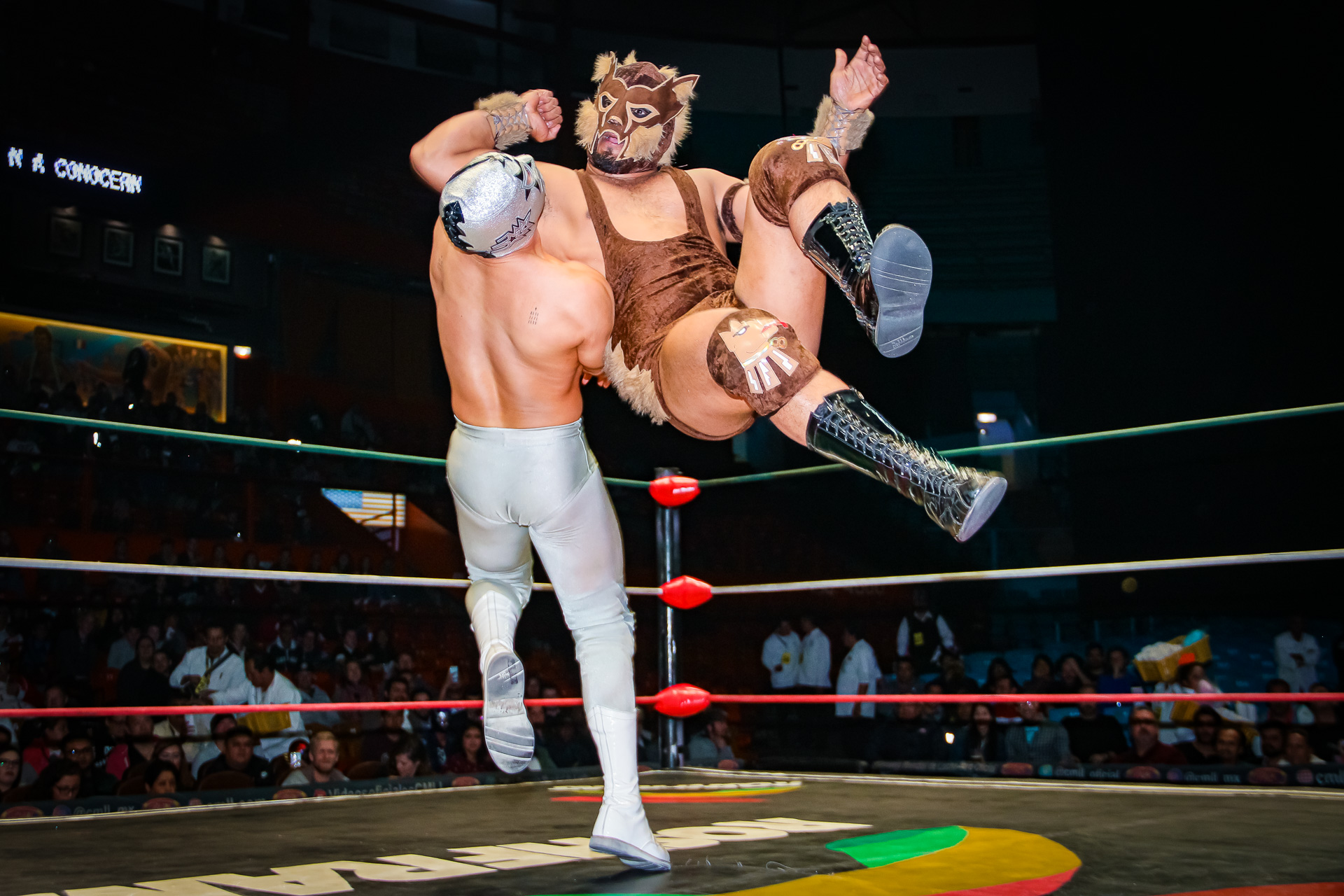 RESULTADOS EL HERALDO TV: 23 ENERO - CMLL ::: La Mejor Lucha Libre del ...